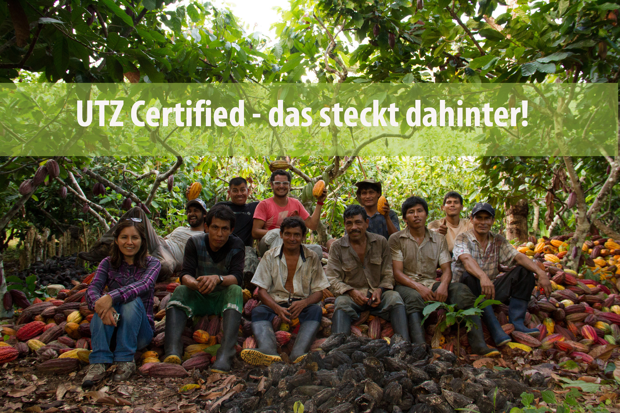 UTZ Certified – das steckt dahinter! | ForestFinance-Blog